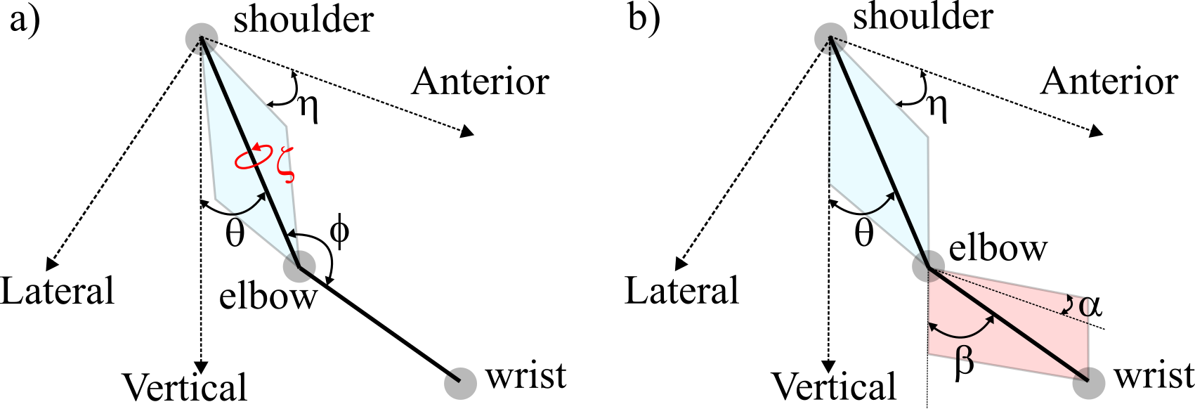 Human Arm Redundancy – A New Approach for the Inverse Kinematics ...